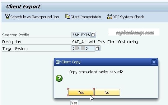 How to do SAP Client Export - SAP Basis Easy