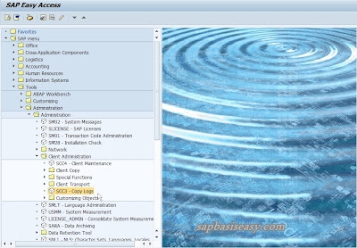 How to check SAP client copy logs - SAP Basis Easy