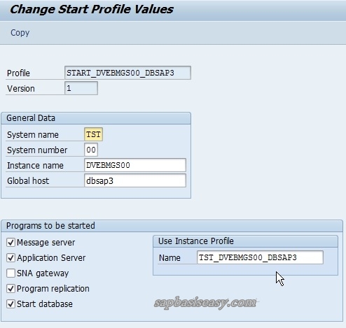 How to import & maintain SAP System Profile - SAP Basis Easy
