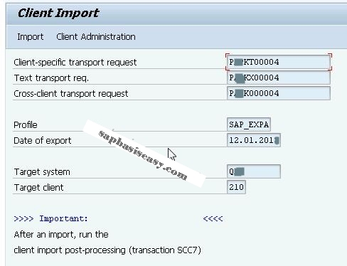 How to do SAP Client Import - SAP Basis Easy