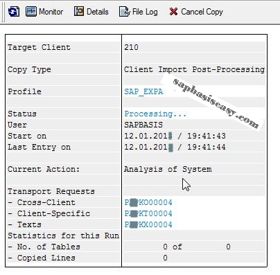 How to do SAP Client Import - SAP Basis Easy